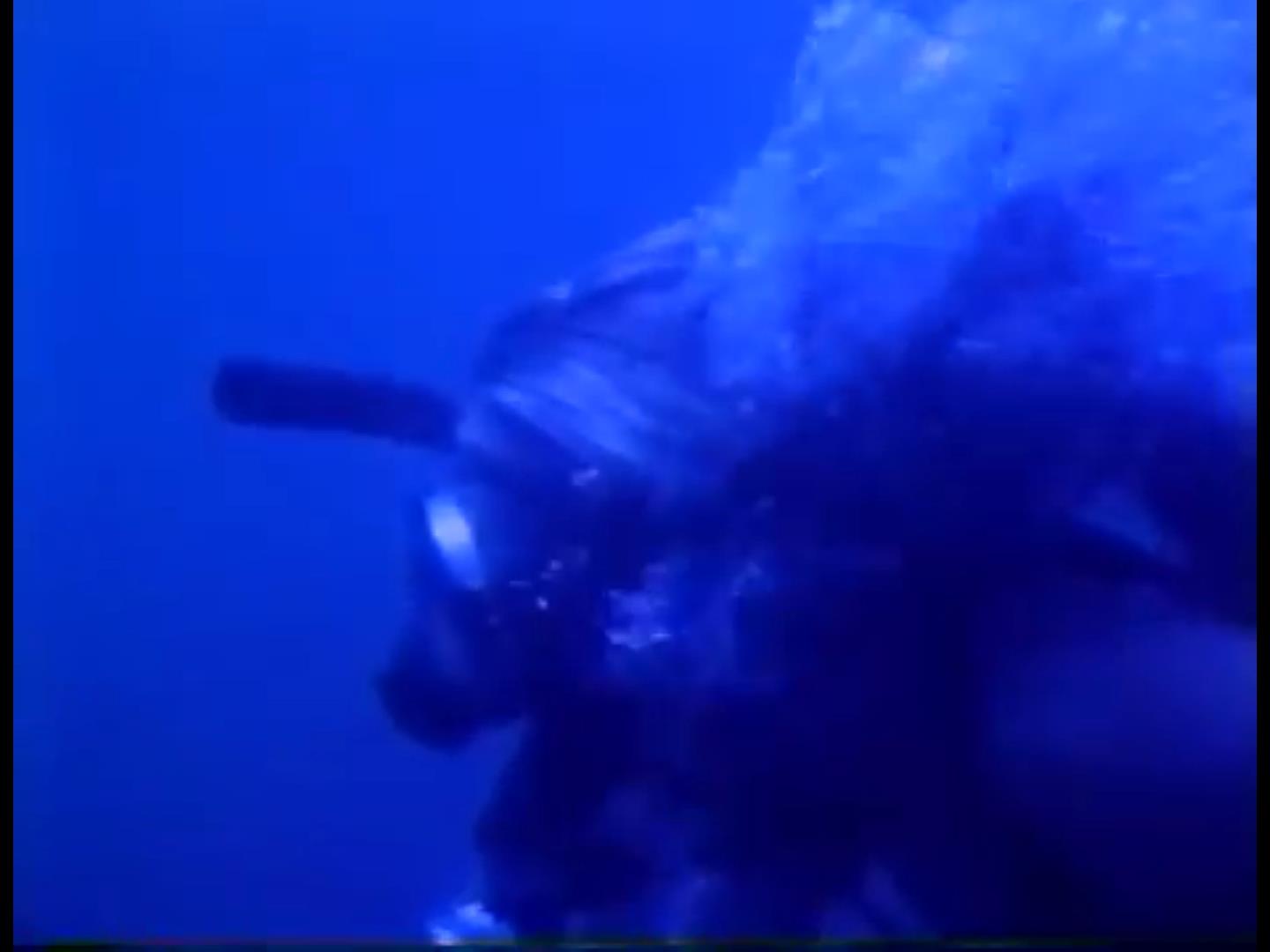 1983年のアメリカ映画『Bimini Code』より、女主人公ステイシーのビキニ監禁シーン！ - ダムゼル・イン・ディストレス 〜苦難の乙女達