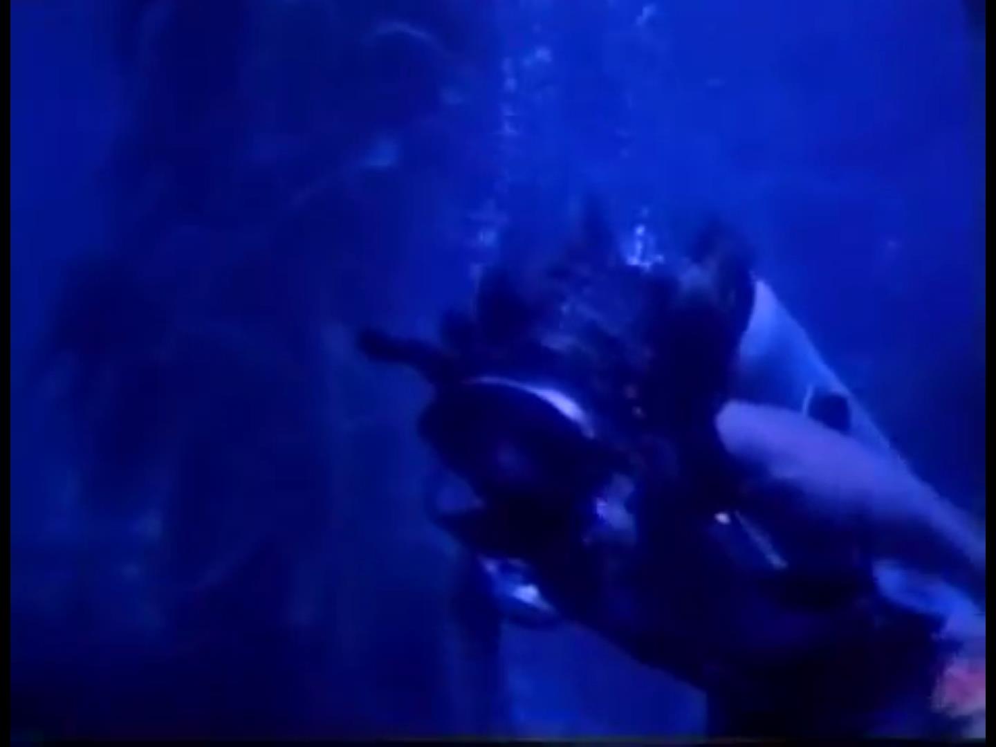 1983年のアメリカ映画『Bimini Code』より、女主人公ステイシーのビキニ監禁シーン！ - ダムゼル・イン・ディストレス 〜苦難の乙女達